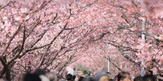 Block Watch Society of BC – Block Watch Society of British Columbia